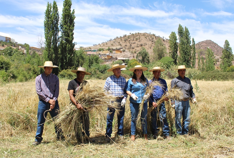 Andes on line | Sábado 28 y domingo 29 de enero se realizará la 45ª ...